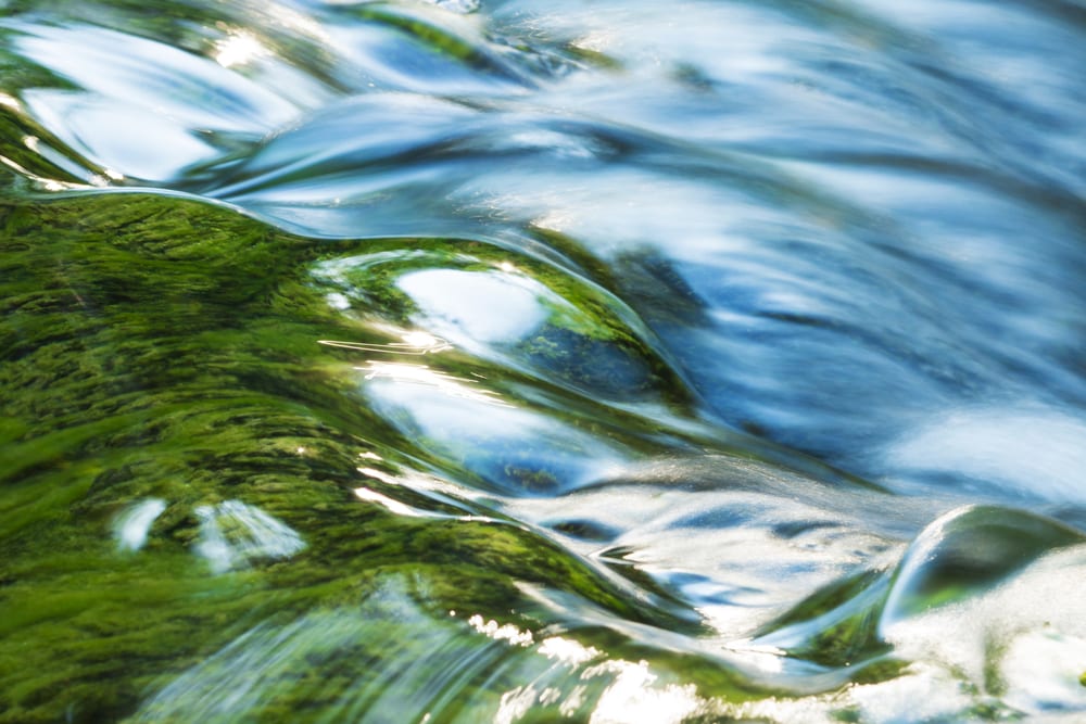 The Five Elements | Tranquil Flow Feng Shui